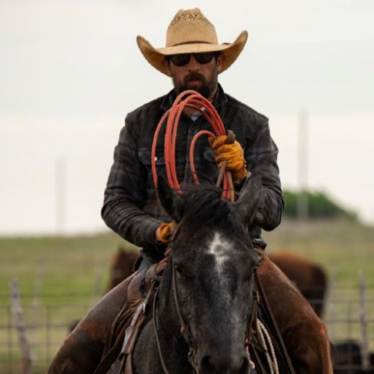 Clay Forst – Williams Knife