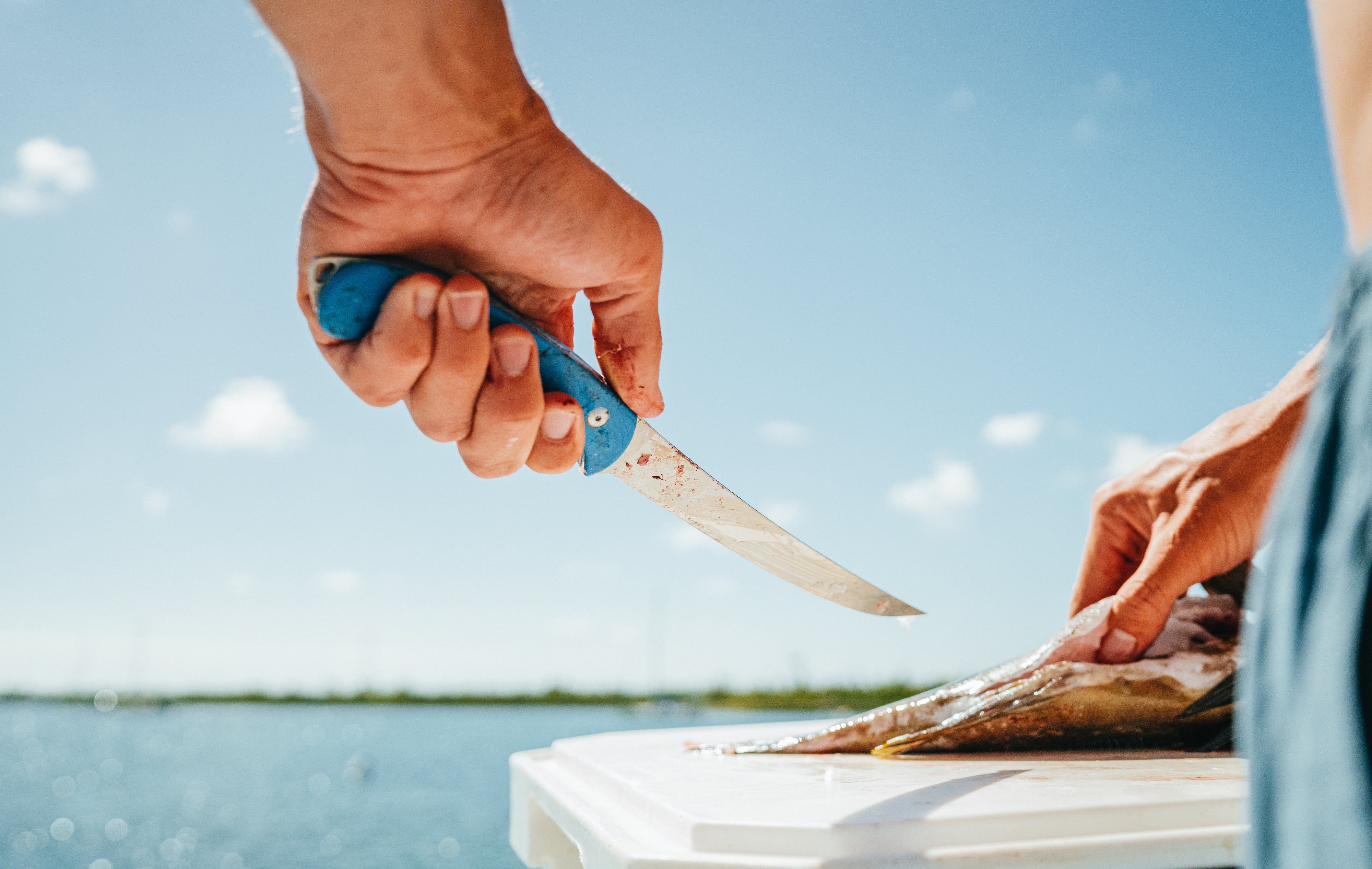 Williams Knife Co. - Handmade Knives Made To Outlive You